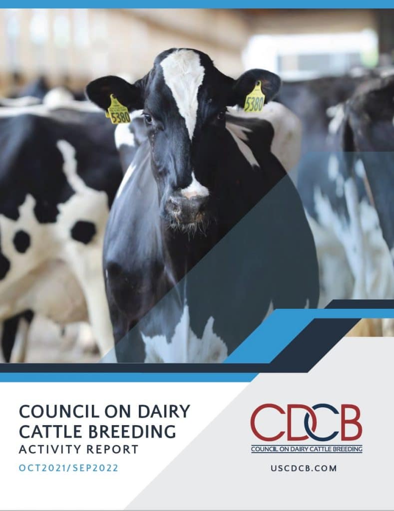 CDCB - Activity Reports