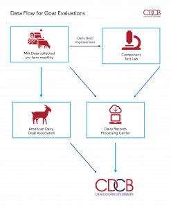 CDCB - Dairy Goat Evaluations