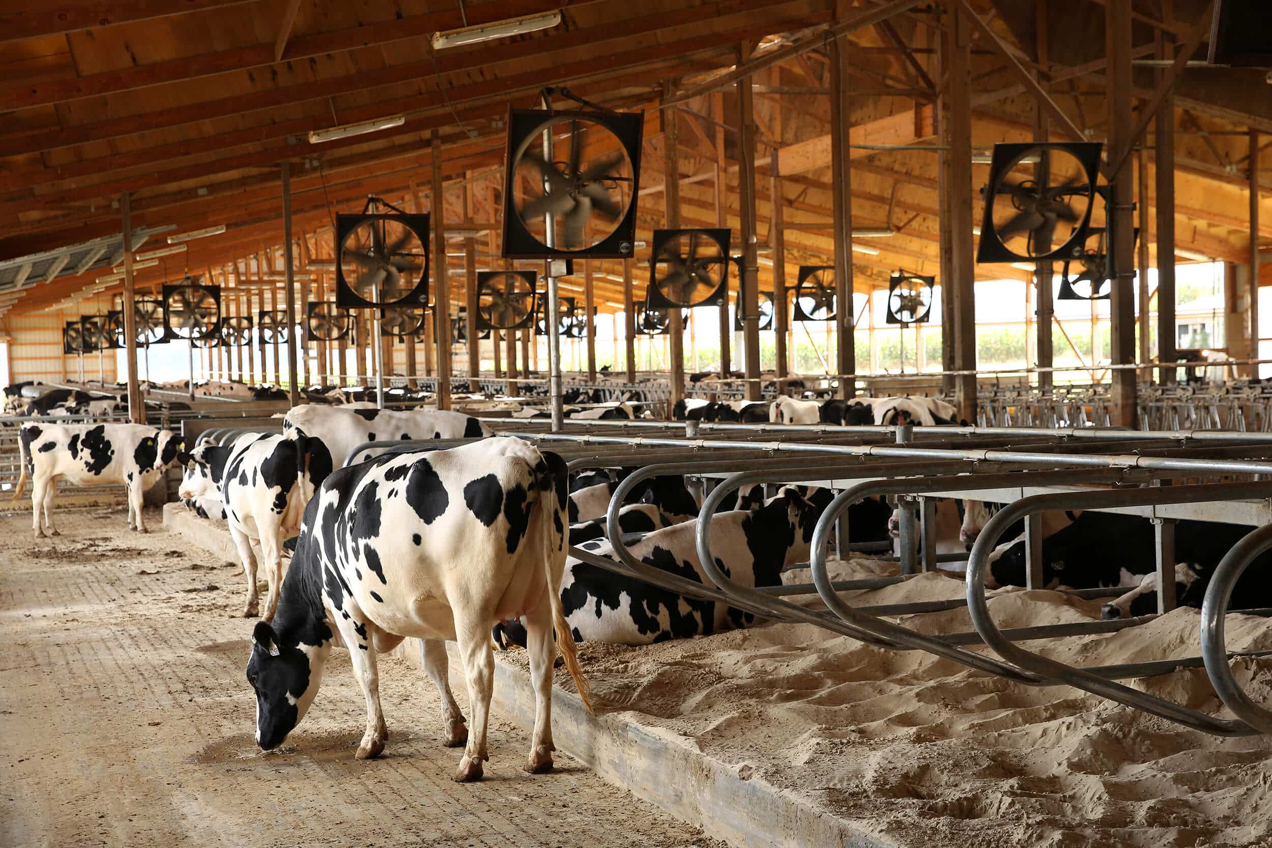 CDCB - 2021 CDCB Industry Meeting