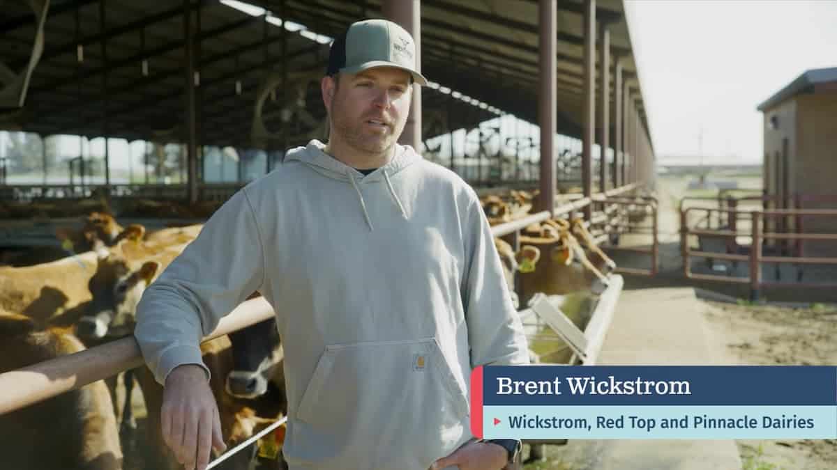 Brent Wickstrom, California - CDCB